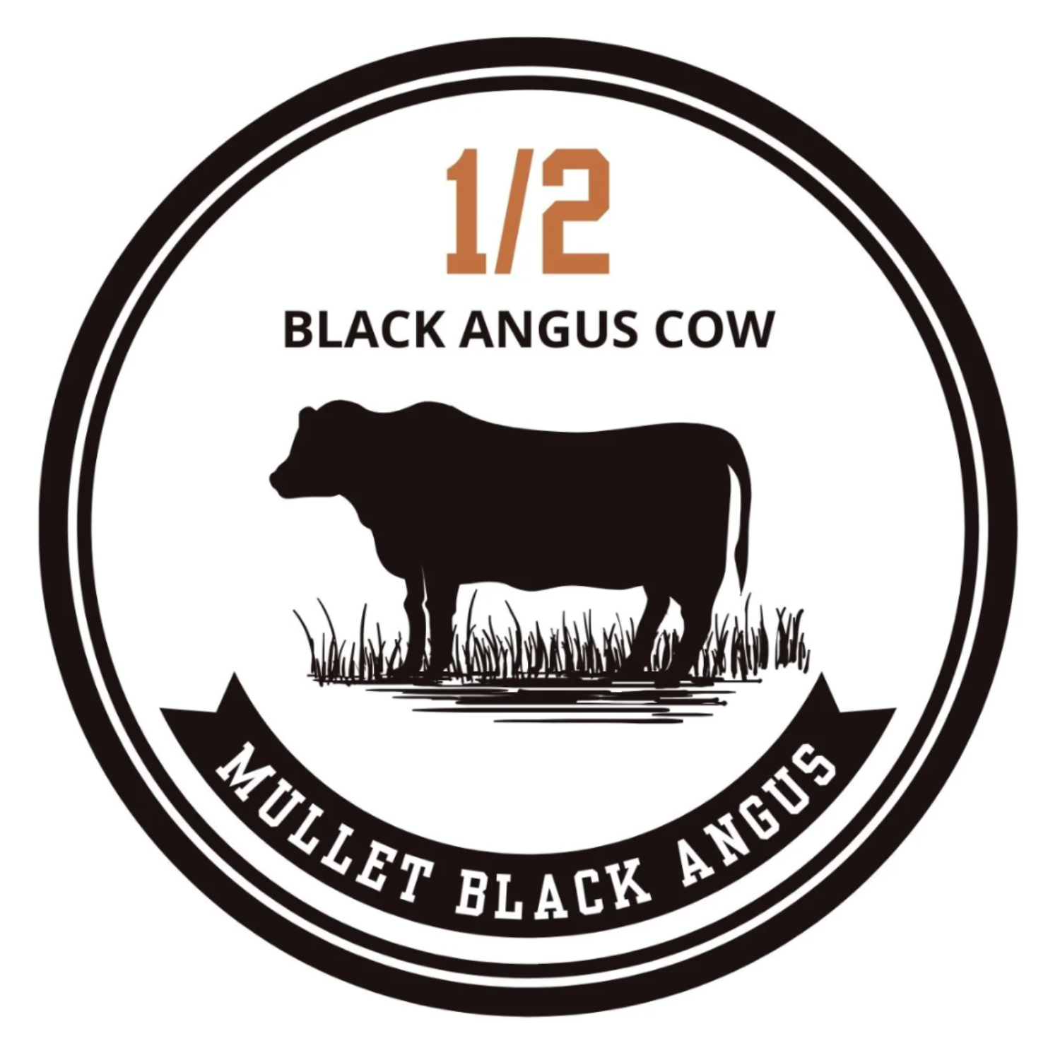 1/2 Black Angus Cow – Mullet Black Angus